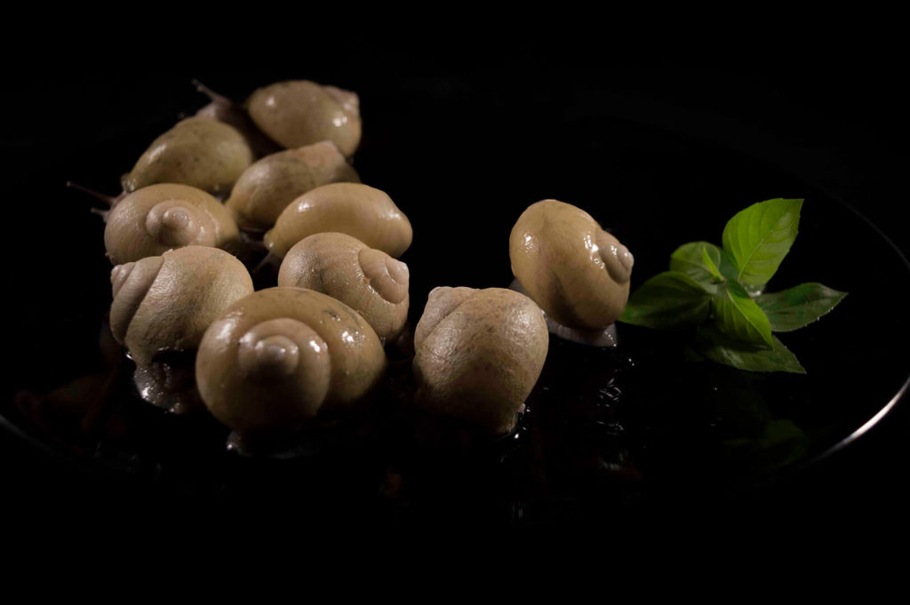White Snails – Mediterranean Escargots